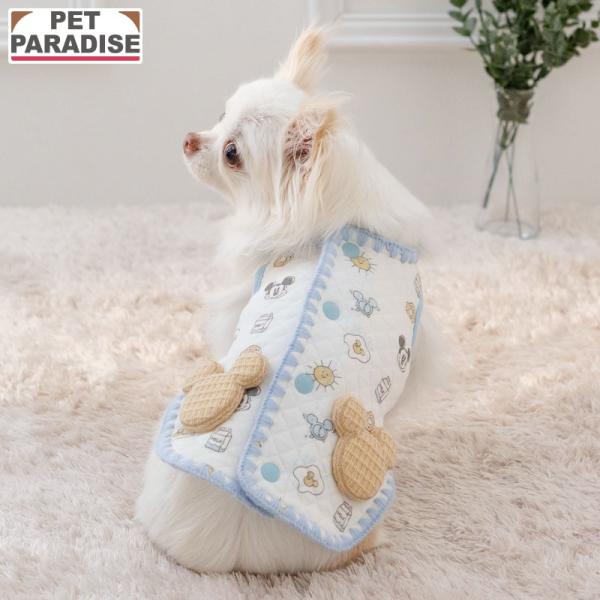 ■素材／本体：ポリエステル60％　綿40％　パイピング：綿95％　ポリウレタン5％　アップリケ：レーヨン50％　ポリエステル28％　ナイロン22％　飾りステッチ：アクリル100％■お洗濯／洗濯機洗いできます。（ネット使用）■サイズ展開／３Ｓ...