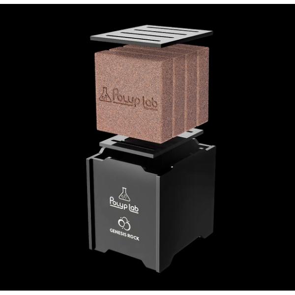 ジェネシスロックパワーラックフル※ZOOX x Polyplab Genesis Rock Power Rack fullは、「Genesis Rock」と「Genesis Rock Power Rack」のセットです。高効率なバクテリアの...