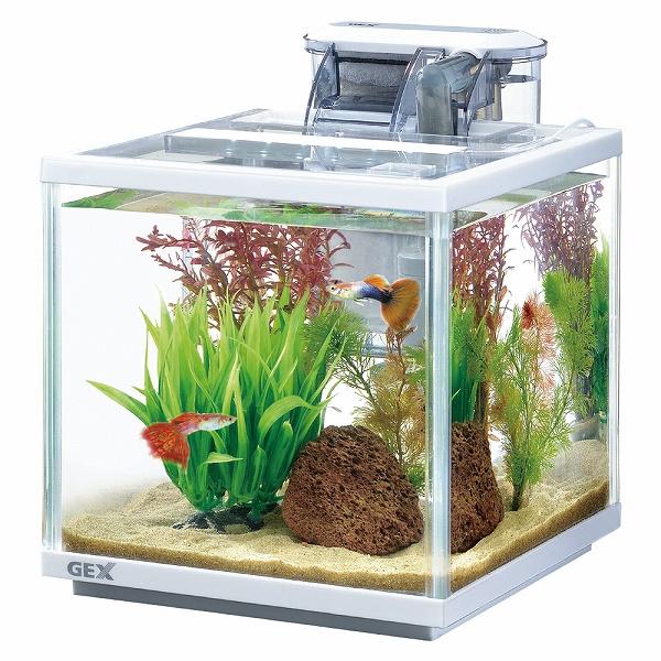 飼育匹数目安:小型魚(3-4cm)4~6匹、金魚1~2匹砂利の適量:約1~1.5kg水槽サイズ:約 幅20.0×奥行20.0×高さ20.0cm水容量:約6Lセット時サイズ:約 幅20.0×奥行25.0×高さ24.0cmセット時重量:総重量 ...