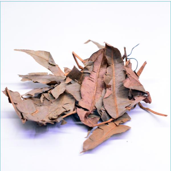 東南アジアの湿地に自生するシダ植物です。タンニンの放出が穏やかで水の色づきが控えめです。水槽に入れると葉が広がり、葉や枝の細やかな造形がレイアウトに自然な立体感を演出します。流木や枝素材との組み合わせもおすすめです。内容量：15グラム天然素...