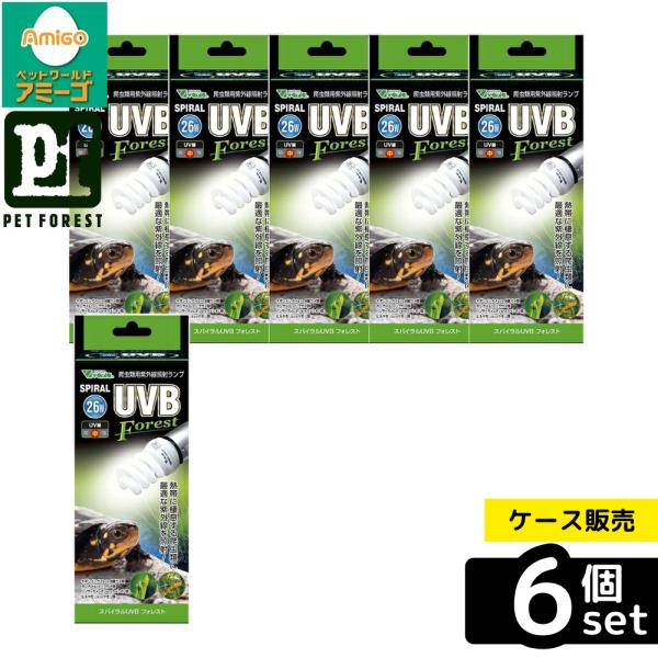 ●商品の納期表示について[ 在庫品 ] 表記 ： 当店在庫品[ 取寄せ ] 表記 ： メーカー在庫有時の発送目安となります。賞味期限：-