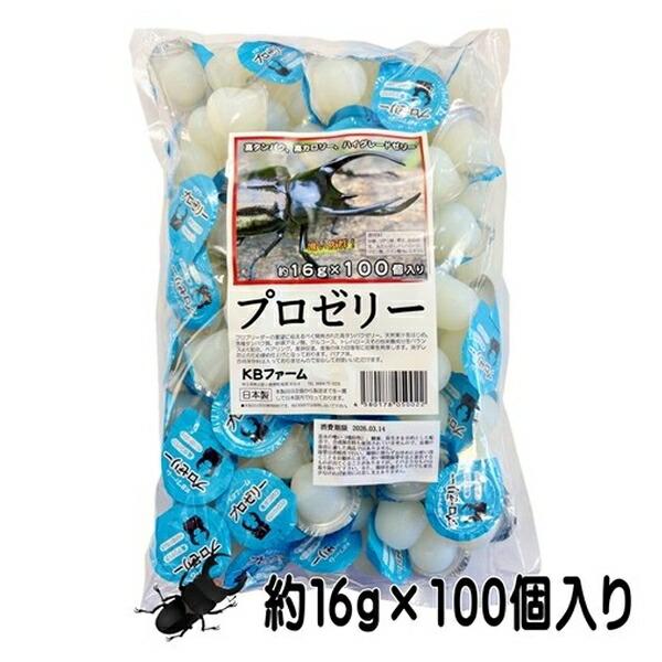 ●商品の納期表示について[ 在庫品 ] 表記 ： 当店在庫品[ 取寄せ ] 表記 ： メーカー在庫有時の発送目安となります。
