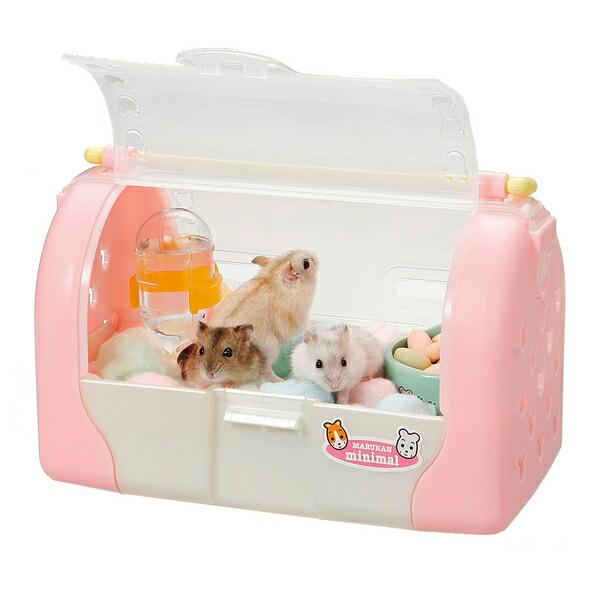 ●商品の納期表示について[ 在庫品 ] 表記 ： 当店在庫品[ 取寄せ ] 表記 ： メーカー在庫有時の発送目安となります。賞味期限：-