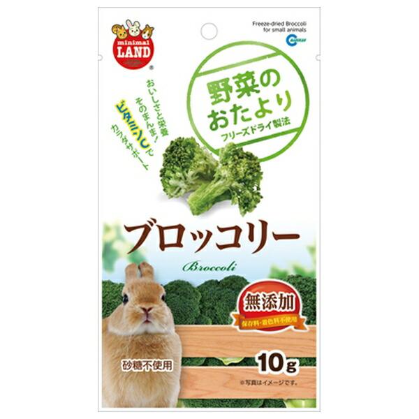 ●商品の納期表示について[ 在庫品 ] 表記 ： 当店在庫品[ 取寄せ ] 表記 ： メーカー在庫有時の発送目安となります。賞味期限：20280131