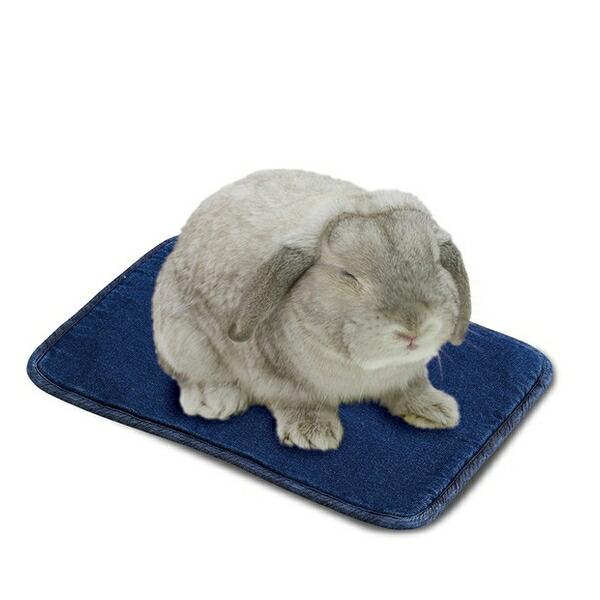 ●商品の納期表示について[ 在庫品 ] 表記 ： 当店在庫品[ 取寄せ ] 表記 ： メーカー在庫有時の発送目安となります。賞味期限：-