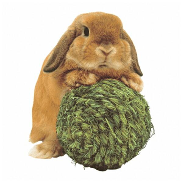 ●商品の納期表示について[ 在庫品 ] 表記 ： 当店在庫品[ 取寄せ ] 表記 ： メーカー在庫有時の発送目安となります。賞味期限：-