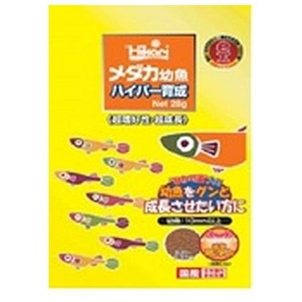 ●商品の納期表示について[ 在庫品 ] 表記 ： 当店在庫品[ 取寄せ ] 表記 ： メーカー在庫有時の発送目安となります。賞味期限：20280831