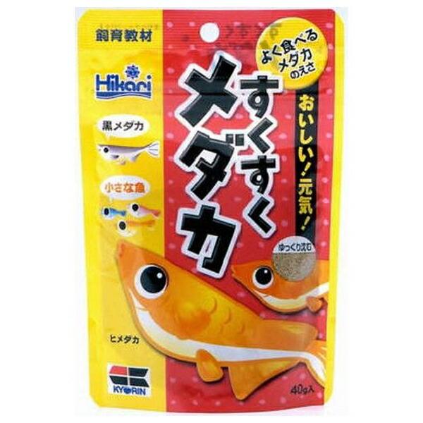 ●商品の納期表示について[ 在庫品 ] 表記 ： 当店在庫品[ 取寄せ ] 表記 ： メーカー在庫有時の発送目安となります。賞味期限：20280930