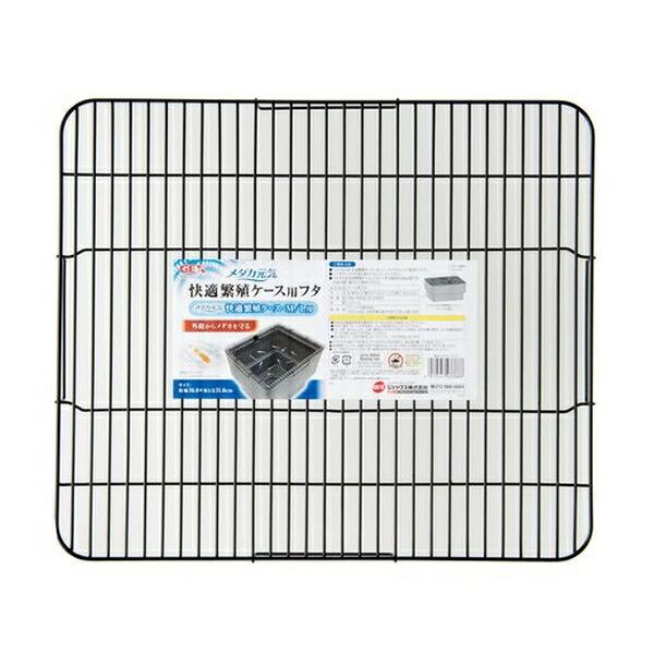 ●商品の納期表示について[ 在庫品 ] 表記 ： 当店在庫品[ 取寄せ ] 表記 ： メーカー在庫有時の発送目安となります。賞味期限：-