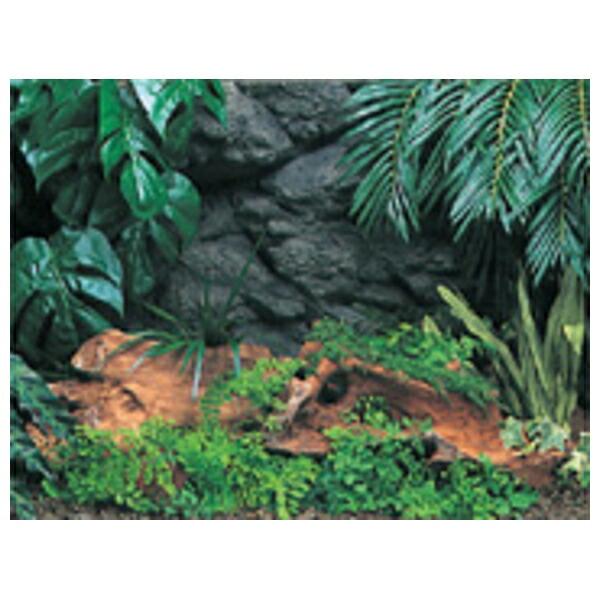 ●商品の納期表示について[ 在庫品 ] 表記 ： 当店在庫品[ 取寄せ ] 表記 ： メーカー在庫有時の発送目安となります。賞味期限：-