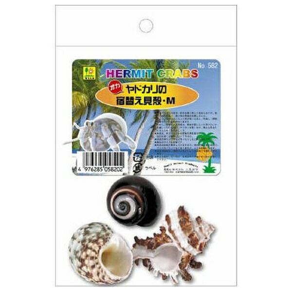 ●商品の納期表示について[ 在庫品 ] 表記 ： 当店在庫品[ 取寄せ ] 表記 ： メーカー在庫有時の発送目安となります。賞味期限：-