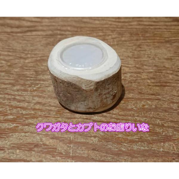 【発売日：2019年05月22日】エサゼリーの固定に使用して下さい。