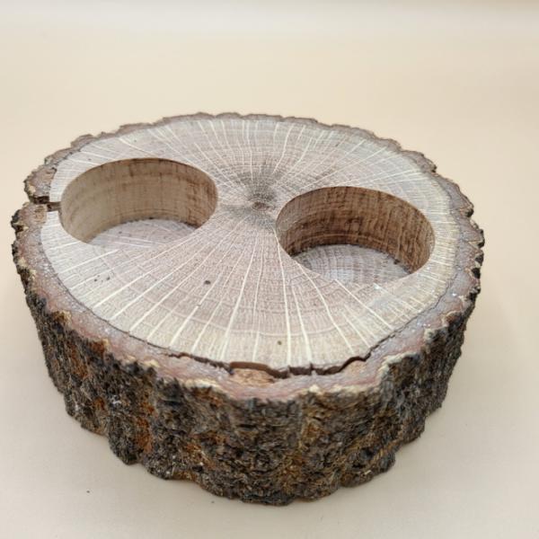 【発売日：2019年05月22日】エサゼリーの固定に使用して下さい。