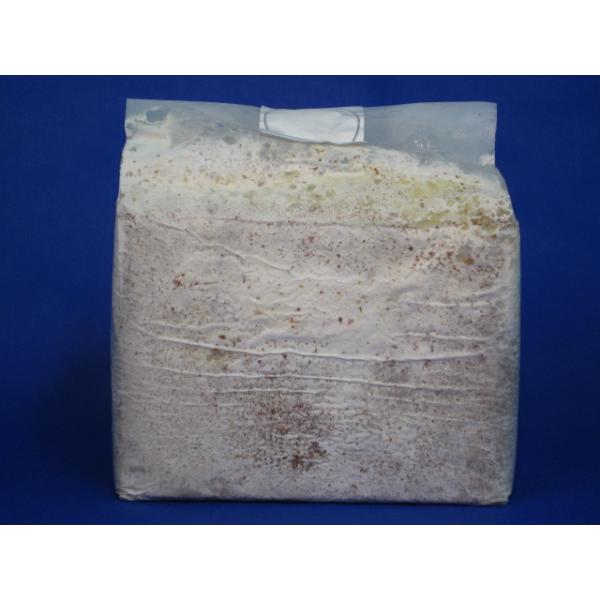 【発売日：2021年03月18日】■菌糸ブロック内容量は、容量で約3.6lですが、重量は内容物によりおよそ2.1〜2.6kgと変動しますのでご理解ください。(ブナオガ粉が多いほど軽くなります)水分は53%(水分計にて管理)に抑えました。栄養...