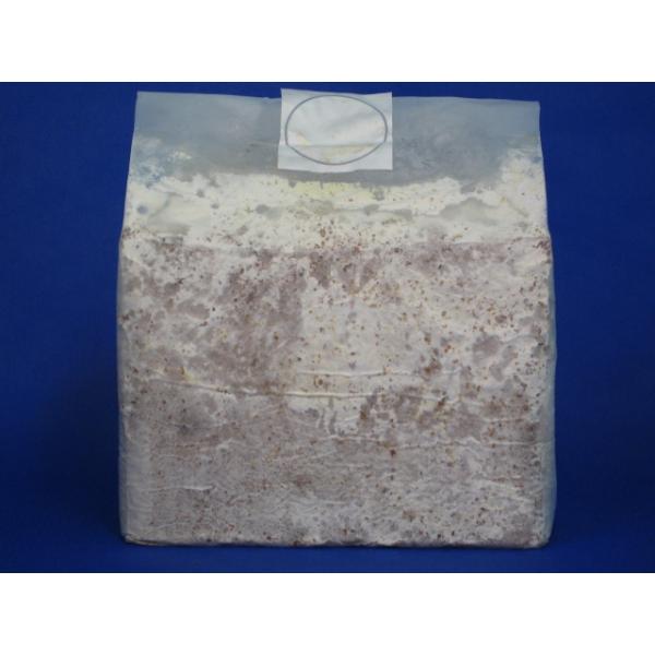 【発売日：2021年03月18日】■菌糸ブロック内容量は、容量で約3.6lですが、重量は内容物によりおよそ2.1〜2.6kgと変動しますのでご理解ください。(ブナオガ粉が多いほど軽くなります)水分は53%(水分計にて管理)に抑えました。栄養...