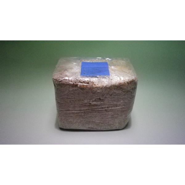 【発売日：2021年03月21日】特徴：カワラタケ菌糸と言えば大夢Kウェイヴ。Bウェイヴと同じく、虫の育ち、菌糸の持ち、どれを取っても優れてます。液だれが殆どありません。第4回BE-KUWAギネスのローゼンベルグオウゴンオニ(75.3mm)...