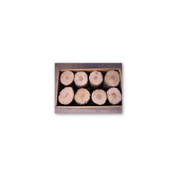 【発売日：2021年03月22日】14cmカット　直径(11〜14cm)