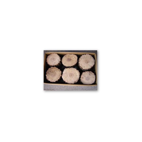 【発売日：2021年03月22日】14cmカット　直径(14cm以上)