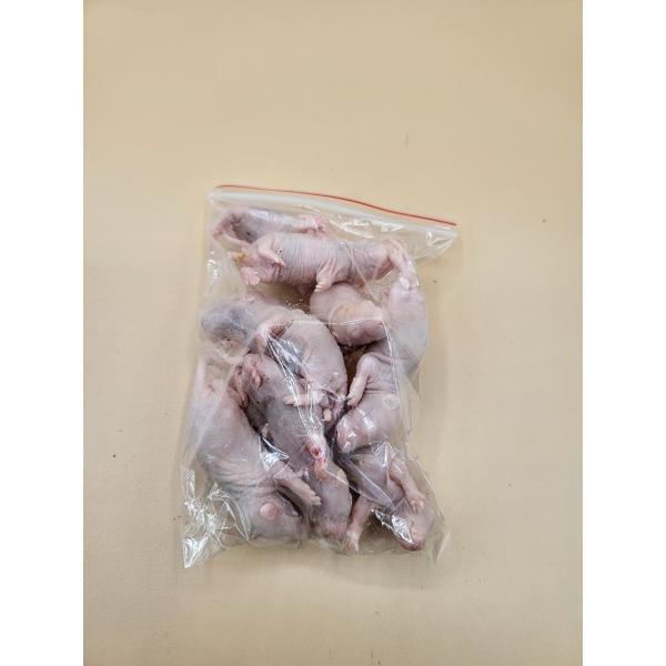 【発売日：2022年03月30日】衛生管理を徹底した飼育室にて、栄養豊富な人工飼料で育った高栄養価のラットです。＜与える生体＞・猛禽類（フクロウ、ワシ、タカなど）・爬虫類（大型のヘビやトカゲなど）・両生類（ベルツノガエルなどの大型のカエル）...