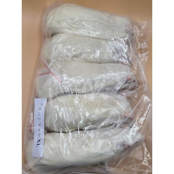 【発売日：2022年03月30日】衛生管理を徹底した飼育室にて、栄養豊富な人工飼料で育った高栄養価のラットです。＜与える生体＞・猛禽類（フクロウ、ワシ、タカなど）・爬虫類（大型のヘビやトカゲなど）体長20cm〜 重量300ｇ〜400ｇ1袋5匹入り