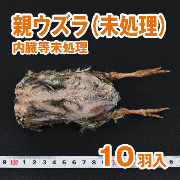 【発売日：2022年03月30日】与える生体・大型魚・猛禽類（フクロウ、ワシ、タカなど）・爬虫類（肉食のトカゲなど）体長約10cm〜12cm10羽入り