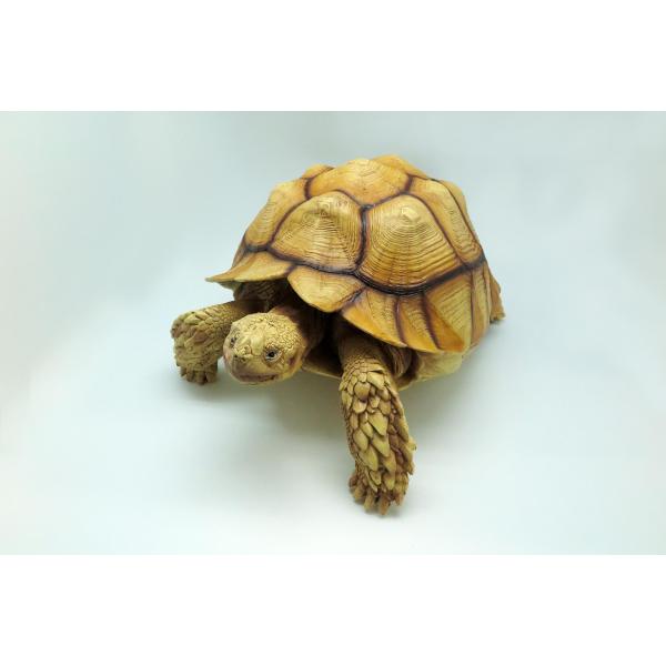 【発売日：2024年01月24日】【材質】樹脂製 【サイズ】35cm×23cm×H20cm 【注意事項】屋外での使用不可 材質は樹脂で手触りの良い素材。 リアルな皮膚の表現や表情・色彩や筋肉の膨らみ、シワなど造形が素晴らしい躍動感に溢れるフ...