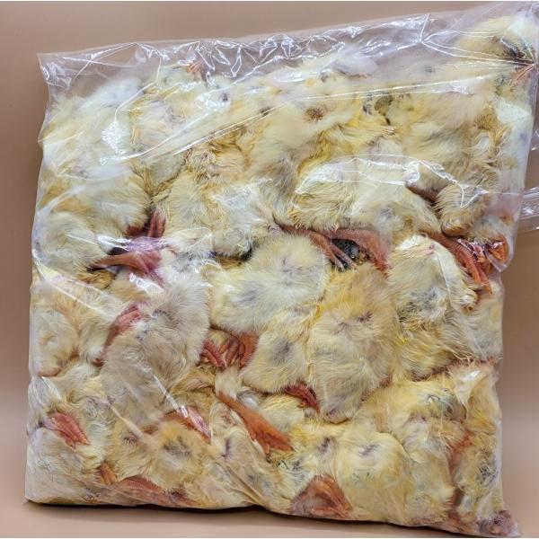 【発売日：2024年01月27日】商品の説明マリア・ソニア・ボリスブラウン・Lohmann ジュリア・Lohmann ジュリアライトの雄鶏個体となります。弊社契約の種鶏場で孵化して選別した初生雛の雄ヒヨコです。猛禽類だけでなく爬虫類などの餌...