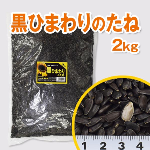 【商品特長】無農薬で栽培された良質なひまわりの種を厳選しました。タンパク質やビタミンなど豊富な栄養が含まれています。約１cm＜与える生体＞ハムスター、リス、インコ、オウム など