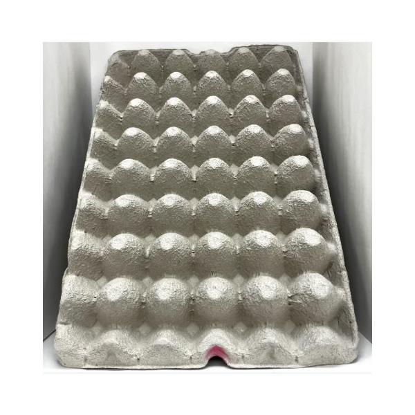 【発売日：2022年07月18日】昆虫の足場として、アイデア次第では様々なケースに適応させることができます。