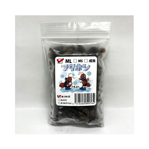 【発売日：2022年12月25日】直前まで十分に餌を食べていた各種コオロギを生きたまま冷凍し、足取り加工を行いました。