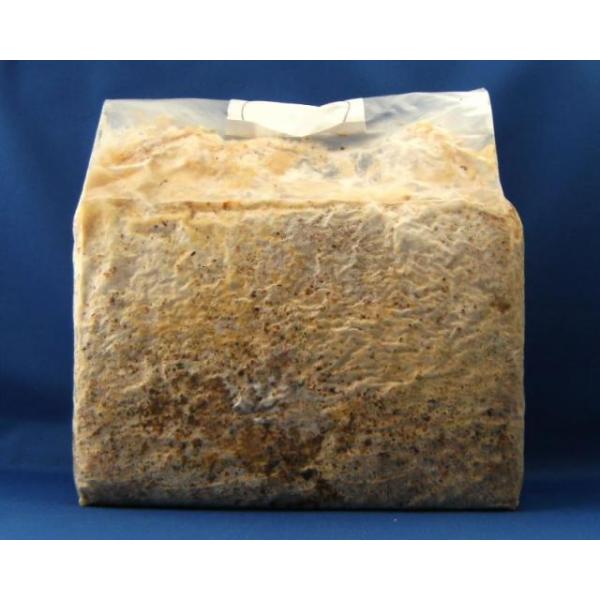 【発売日：2021年03月18日】(特徴)適温18〜24℃ これより多少高い温度でも使用可最大の特徴は、菌糸の劣化速度が他の菌糸商品より遅いので、ビン交換の回数が少なくて済みます。経済的なのはもちろん、幼虫のストレスも抑えることが出来るとい...