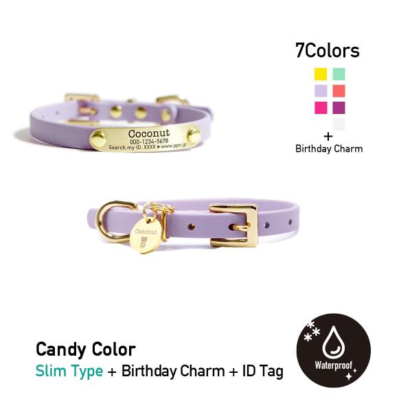 防水 首輪 犬 Biothane 衛生的 迷子札 ネームプレート 小型犬 オーダーメイド 名入れ おしゃれ 名前入り 上品ポップなキャンディーカラーの防水首輪。WEBでペットプロフィールの管理ができる、年会費や更新料など無しでずっと無料で使...