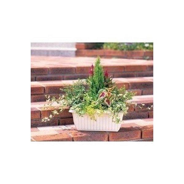 ●翌日優良配送対象商品につきまして●下記の場合は対象外となります。・12時以降のご注文の場合・お届け先が対象地域外の場合・決済処理にお時間を頂戴する場合・ご注文時備考欄(ストアへのご要望)にご記入がある場合・郵便番号や住所に誤りがある場合・...