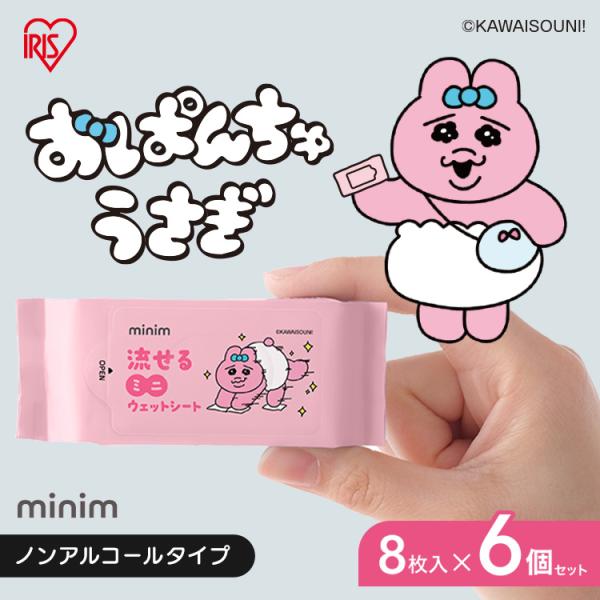 （検索用：ウェットティッシュ ノンアルコール 持ち運び 携帯 除菌シート 48枚 ミニ 流せる キャラクター おぱんちゅうさぎ アウトドア お出かけ ウェットシート 掃除 おしりふき ウエットティッシュ 4967576802598）  ●翌...