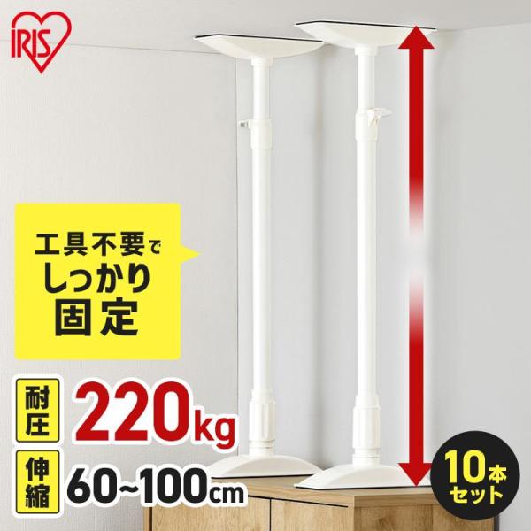 2024/7/31にリニューアルしました。●本数10本（2本入り×5）●商品サイズ（cm）Lサイズ：幅約7.8×奥行約21.5×高さ約60〜100●主要材質パイプ／塩化ビニル被覆鋼管樹脂部分／ABS樹脂、発泡PEネジ／ステンレス鋼ナット／鉄...