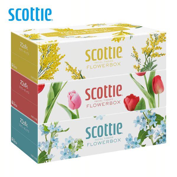 （検索用：ティッシュペーパー ティッシュ ティシュー フラワー ボックス 大容量 長持ち コンパクト 250組 3箱パック 鼻紙 SCOTTIE スコッティ 4901750413309）●翌日優良配送対象商品につきまして●下記の場合は対象外...