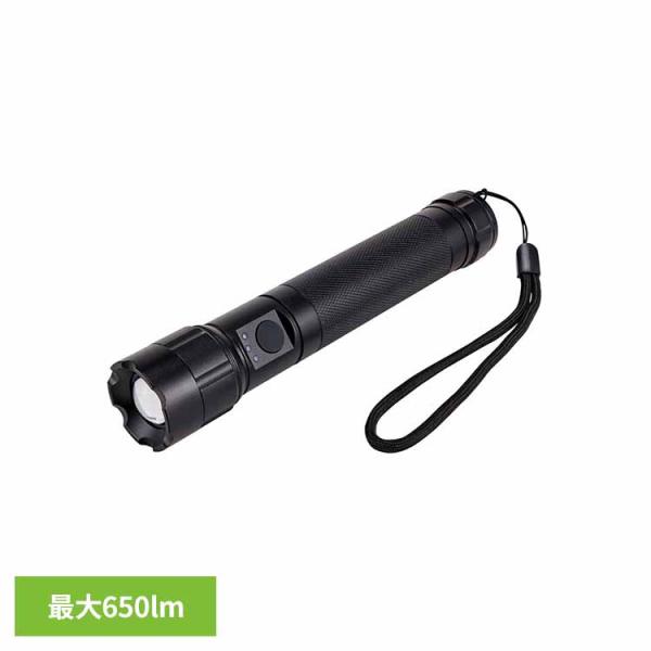 （検索用：ELPA エルパ 懐中電灯 灯器 ライト 防災 災害 緊急時 電池残量 インジケーター 4901087224401）●翌日優良配送対象商品につきまして●下記の場合は対象外となります。・13時以降(休業日は12時以降)のご注文の場合...