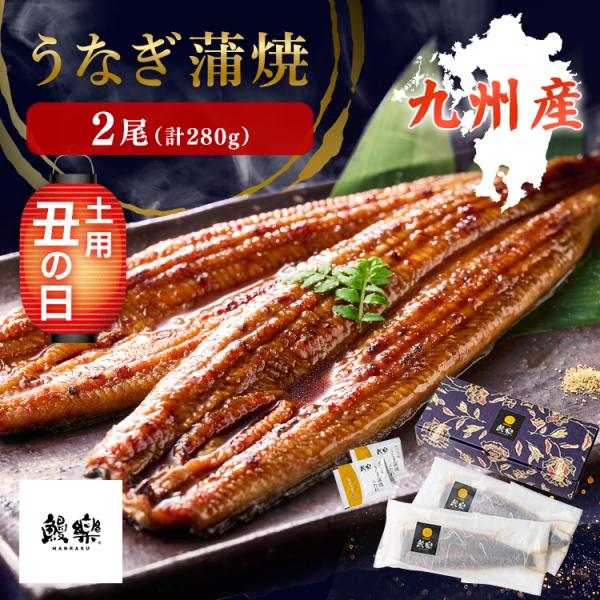 （検索用：ギフト 鰻 九州 蒲焼 ）●翌日優良配送対象商品につきまして●下記の場合は対象外となります。・13時以降(休業日は12時以降)のご注文の場合・お届け先が対象地域外の場合(離島も含む)・決済完了確認にお時間を頂戴する場合・銀行振込を...