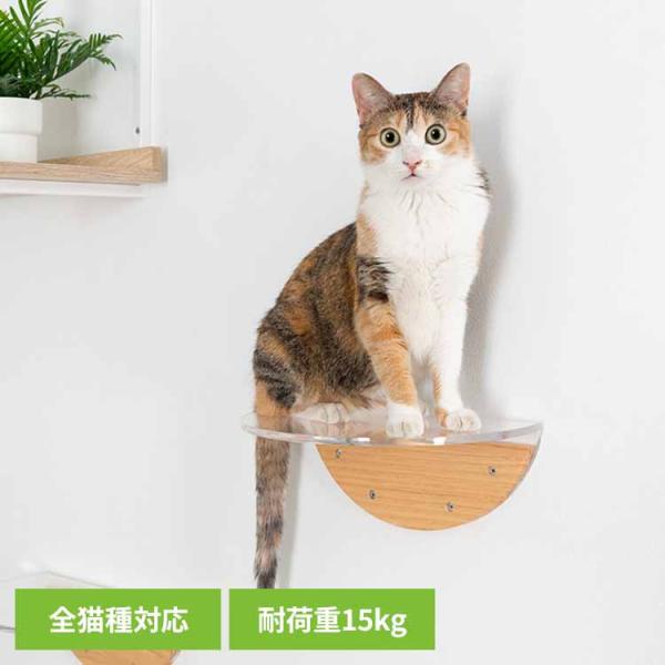 （検索用：キャットウォーク キャットステップ 猫用品 ペット用品 猫家具 猫ベッド 壁掛け ペット共生 スケルトン 透明ステップ 0640841970959）●翌日優良配送対象商品につきまして●下記の場合は対象外となります。・13時以降(休...
