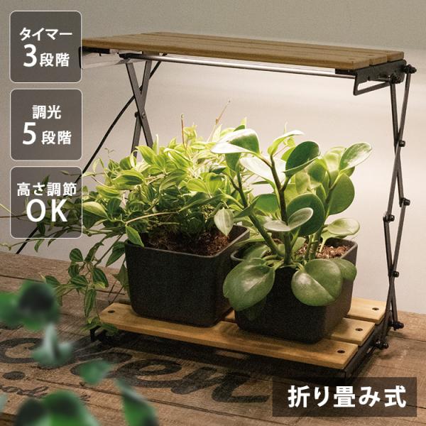 （検索用：植物育成 プラント 園芸 植物 観葉植物 開花 食用ハーブ 太陽光 光合成 ライト 4971275652415）●翌日優良配送対象商品につきまして●下記の場合は対象外となります。・13時以降(休業日は12時以降)のご注文の場合・お...