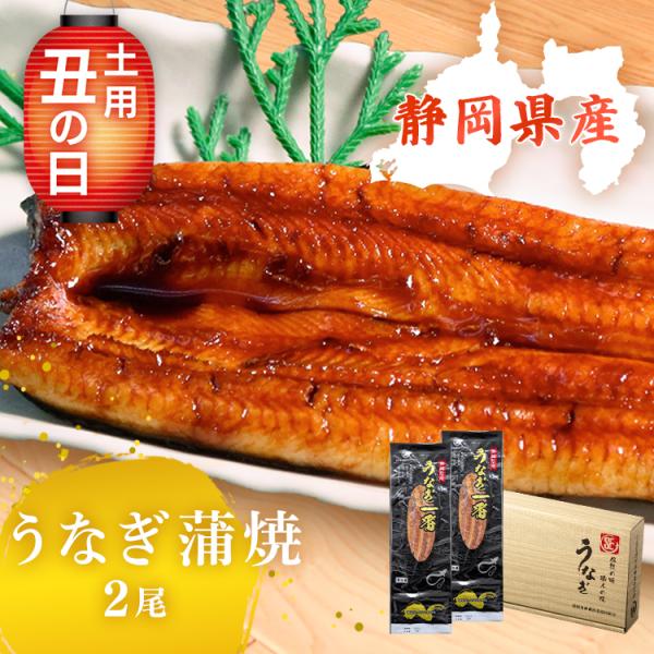 （検索用：うなぎ 静岡 蒲焼 長焼 国産 グルメ お取り寄せ ギフト 贈答 冷凍 ）●翌日優良配送対象商品につきまして●下記の場合は対象外となります。・13時以降(休業日は12時以降)のご注文の場合・お届け先が対象地域外の場合(離島も含む)...