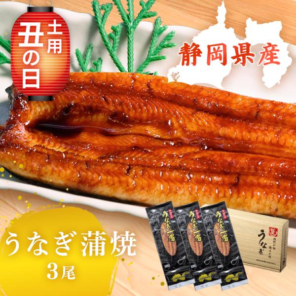 （検索用：うなぎ 静岡 蒲焼 長焼 国産 グルメ お取り寄せ ギフト 贈答 冷凍 ）●翌日優良配送対象商品につきまして●下記の場合は対象外となります。・13時以降(休業日は12時以降)のご注文の場合・お届け先が対象地域外の場合(離島も含む)...