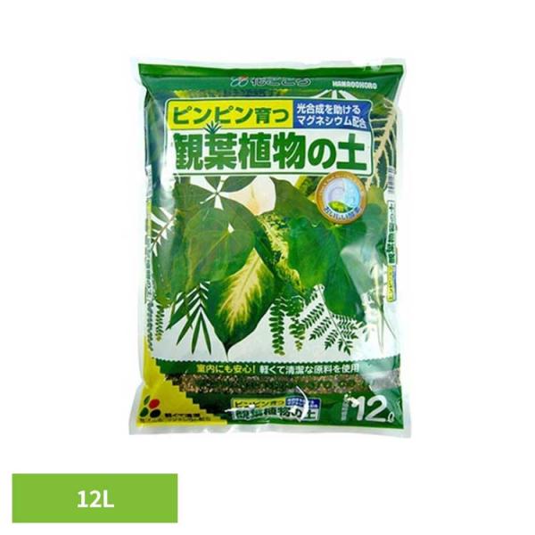 （検索用：培養土 用土 光合成 マグネシウム 室内 清潔 軽い ガーデン 観葉植物 4977445108300）●翌日優良配送対象商品につきまして●下記の場合は対象外となります。・13時以降(休業日は12時以降)のご注文の場合・お届け先が対...