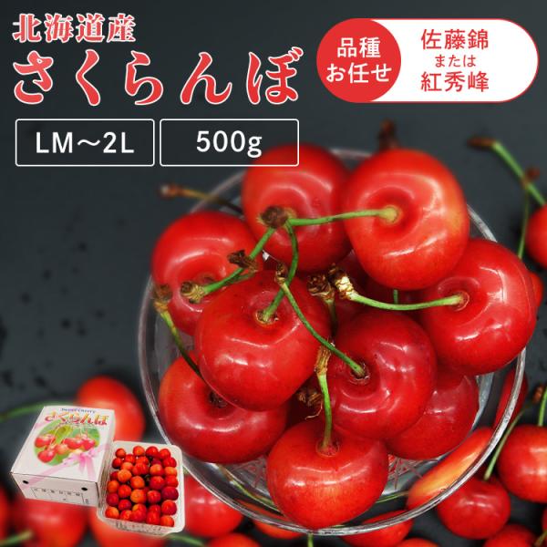 （検索用：さくらんぼ 北海道 産地直送 旬 農産 フルーツ ギフト 甘い 佐藤錦 紅秀峰 ）●翌日優良配送対象商品につきまして●下記の場合は対象外となります。・13時以降(休業日は12時以降)のご注文の場合・お届け先が対象地域外の場合(離島...