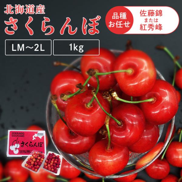 （検索用：さくらんぼ 北海道 産地直送 旬 農産 フルーツ ギフト 甘い 佐藤錦 紅秀峰 ）●翌日優良配送対象商品につきまして●下記の場合は対象外となります。・13時以降(休業日は12時以降)のご注文の場合・お届け先が対象地域外の場合(離島...