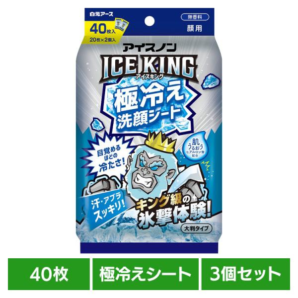 （検索用：白元アース アイスノン クール 猛暑 暑さ対策 ひんやり 4902407025289）●翌日優良配送対象商品につきまして●下記の場合は対象外となります。・13時以降(休業日は12時以降)のご注文の場合・お届け先が対象地域外の場合(...