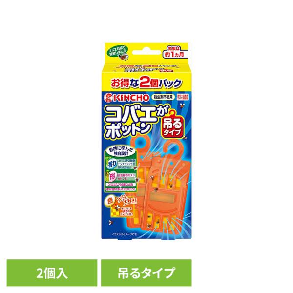 （検索用：キッチン 生ゴミ 三角コーナー 観葉植物 排水口 夏 対策 清潔 発生源 捕獲 4987115542952）●翌日優良配送対象商品につきまして●下記の場合は対象外となります。・13時以降(休業日は12時以降)のご注文の場合・お届け...
