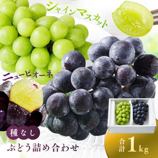 （検索用：ぶどう セット 果物 ピオーネ シャインマスカット 贈答 ）●翌日優良配送対象商品につきまして●下記の場合は対象外となります。・13時以降(休業日は12時以降)のご注文の場合・お届け先が対象地域外の場合(離島も含む)・決済完了確認...