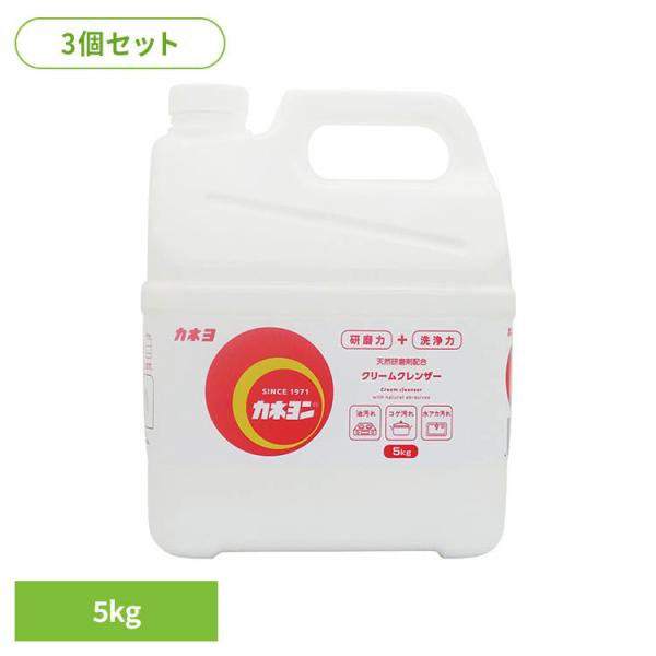 （検索用：カネヨ石鹸 カネヨン シンク掃除 台所用洗剤 4901329210902）●優良配送・届け日指定対象商品につきまして●下記の場合は対象外となります。・13時以降(休業日は12時以降)のご注文の場合・お届け先が対象地域外の場合(離島...