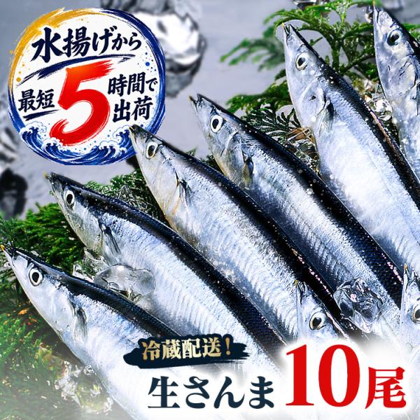（検索用：生さんま 三陸 気仙沼 冷蔵 塩焼き 阿部長 ）●優良配送・届け日指定対象商品につきまして●下記の場合は対象外となります。・13時以降(休業日は12時以降)のご注文の場合・お届け先が対象地域外の場合(離島含む)・決済完了確認にお時...